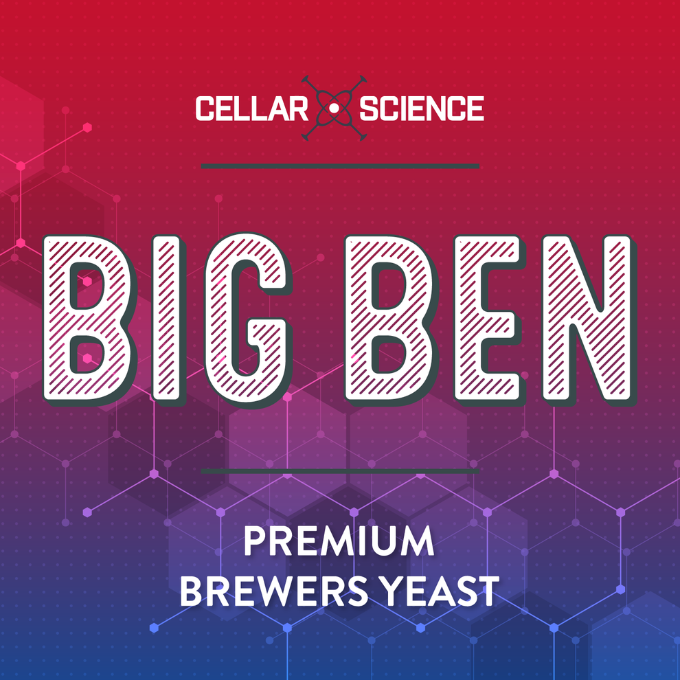 BIG BEN Dry Beer Yeast – Cellar Science