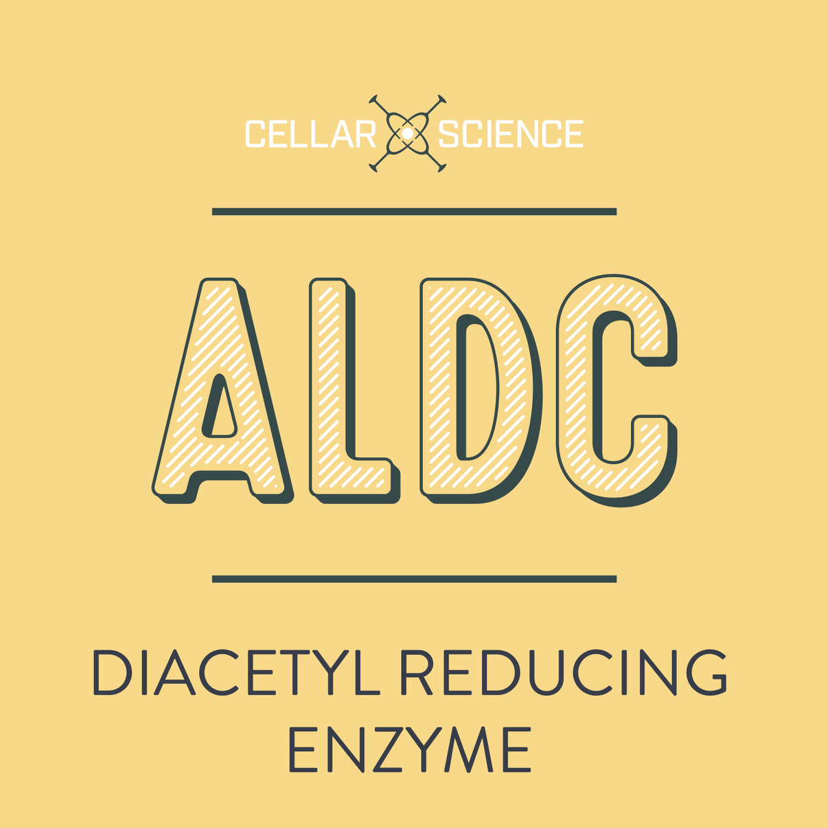 CellarScience ALDC Enzyme – Cellar Science