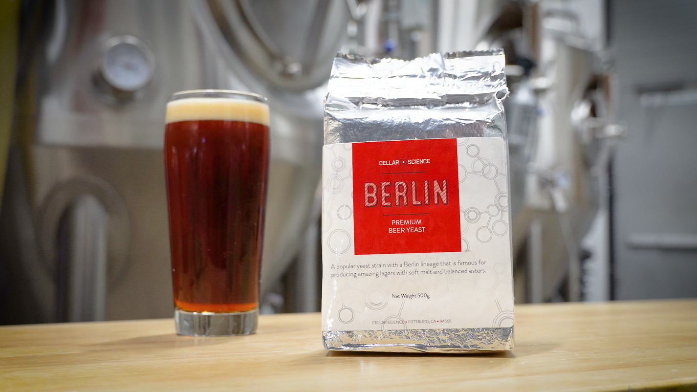 BERLIN Dry Beer Yeast – Cellar Science