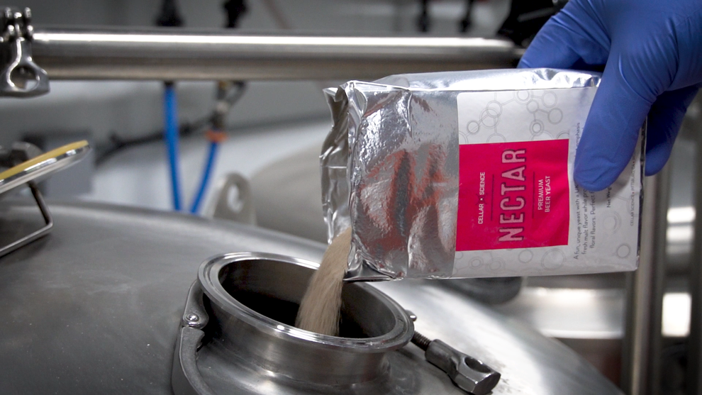 NECTAR Dry Beer Yeast – Cellar Science